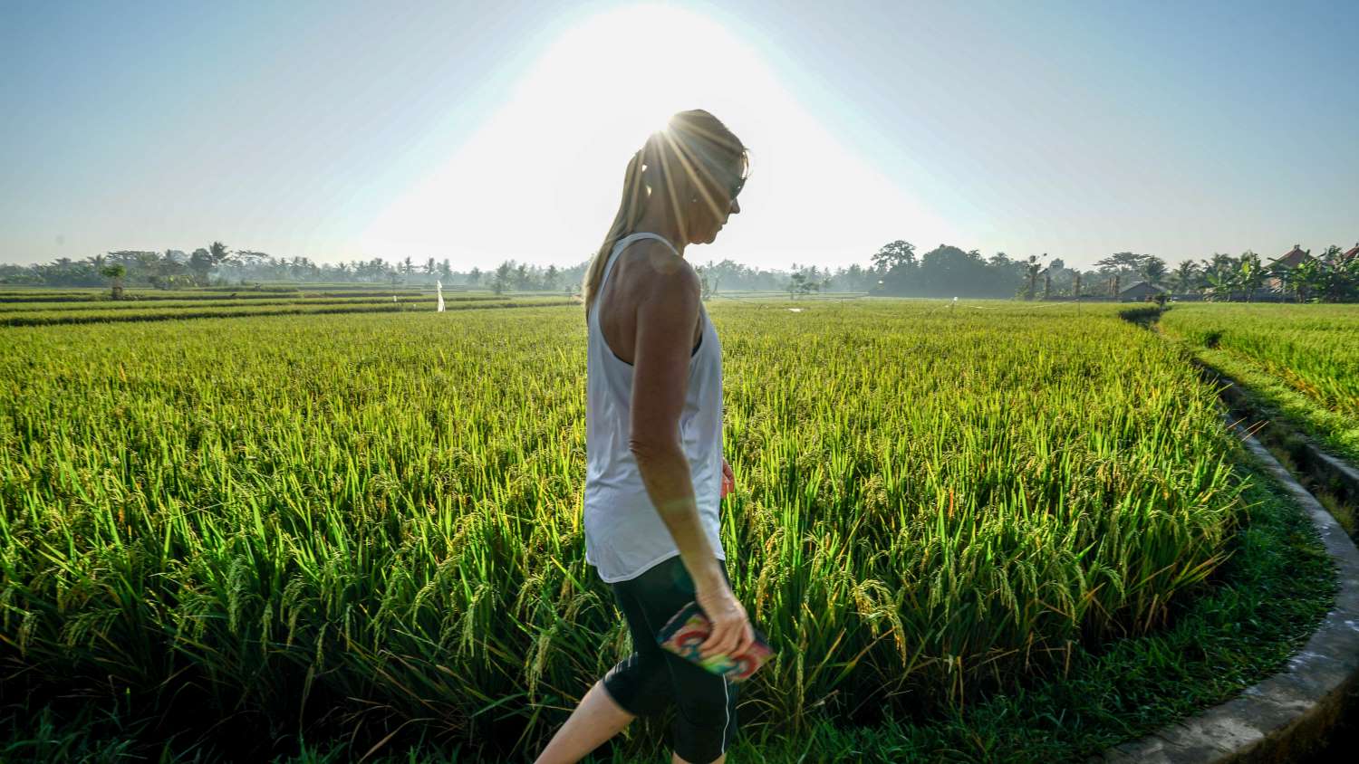 Water Purification, Local Village & Rice Fields Hiking - Tampak Siring ...
